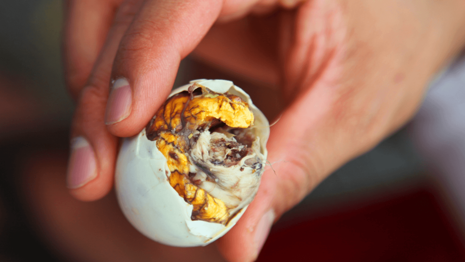 Balut: The Surprising Delights Of The Philippines Famous Egg Delicacy ...