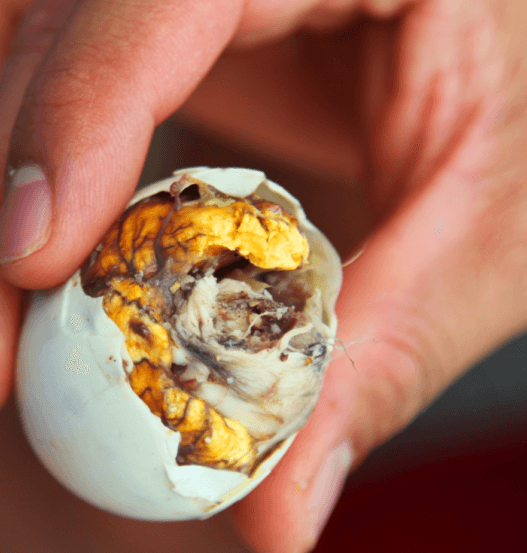 Balut: The Surprising Delights Of The Philippines Famous Egg Delicacy ...